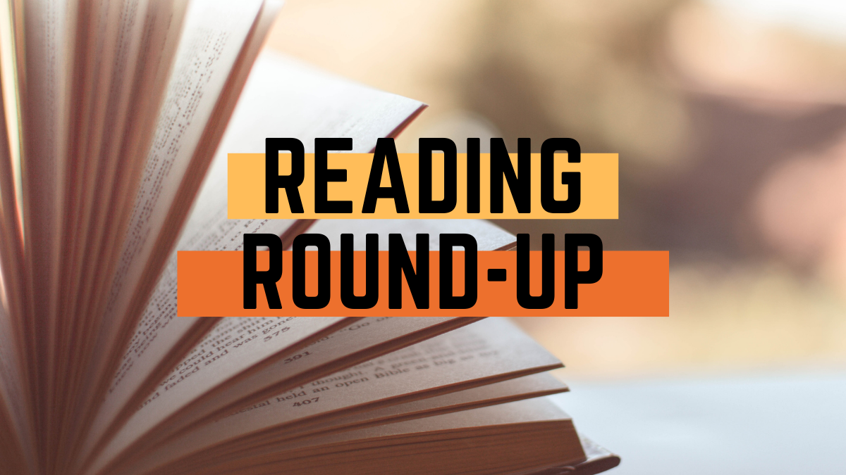Reading Round-up: November edition – Amanda J. McGee, Author